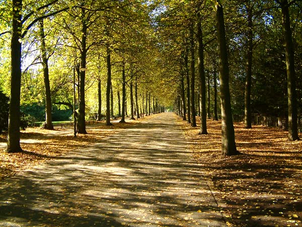 promenade-münster Foto & Bild | deutschland, europe, nordrhein ...