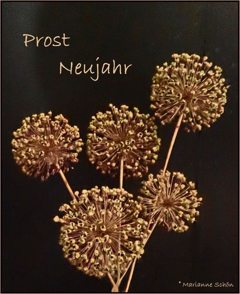 Prost Neujahr euch Allen... Foto & Bild | silvester, spezial ...