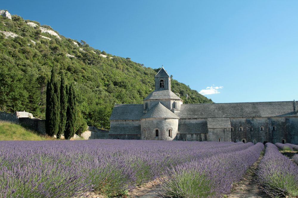 Provence - Kloster Senanque Foto & Bild | europe, france, provence-alpes-côte d'azur Bilder auf ...