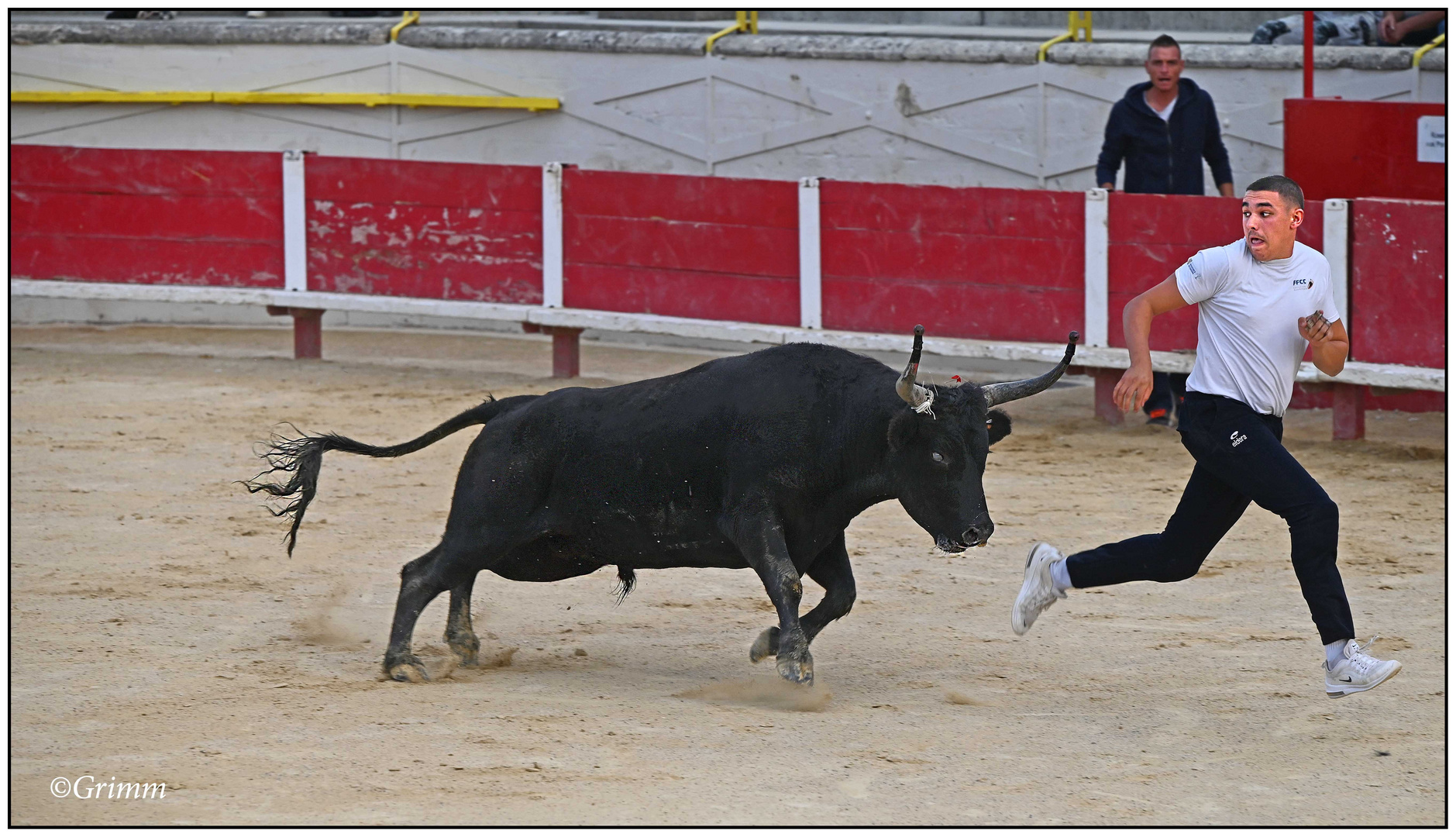 Provenzalicher Stierkampf Foto & Bild | europe, france, provence-alpes ...