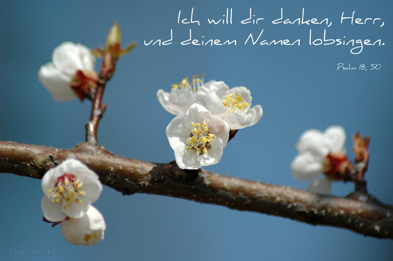 Psalm 18, 50 Foto & Bild | emotionen, hoffnung, spezial Bilder auf ...