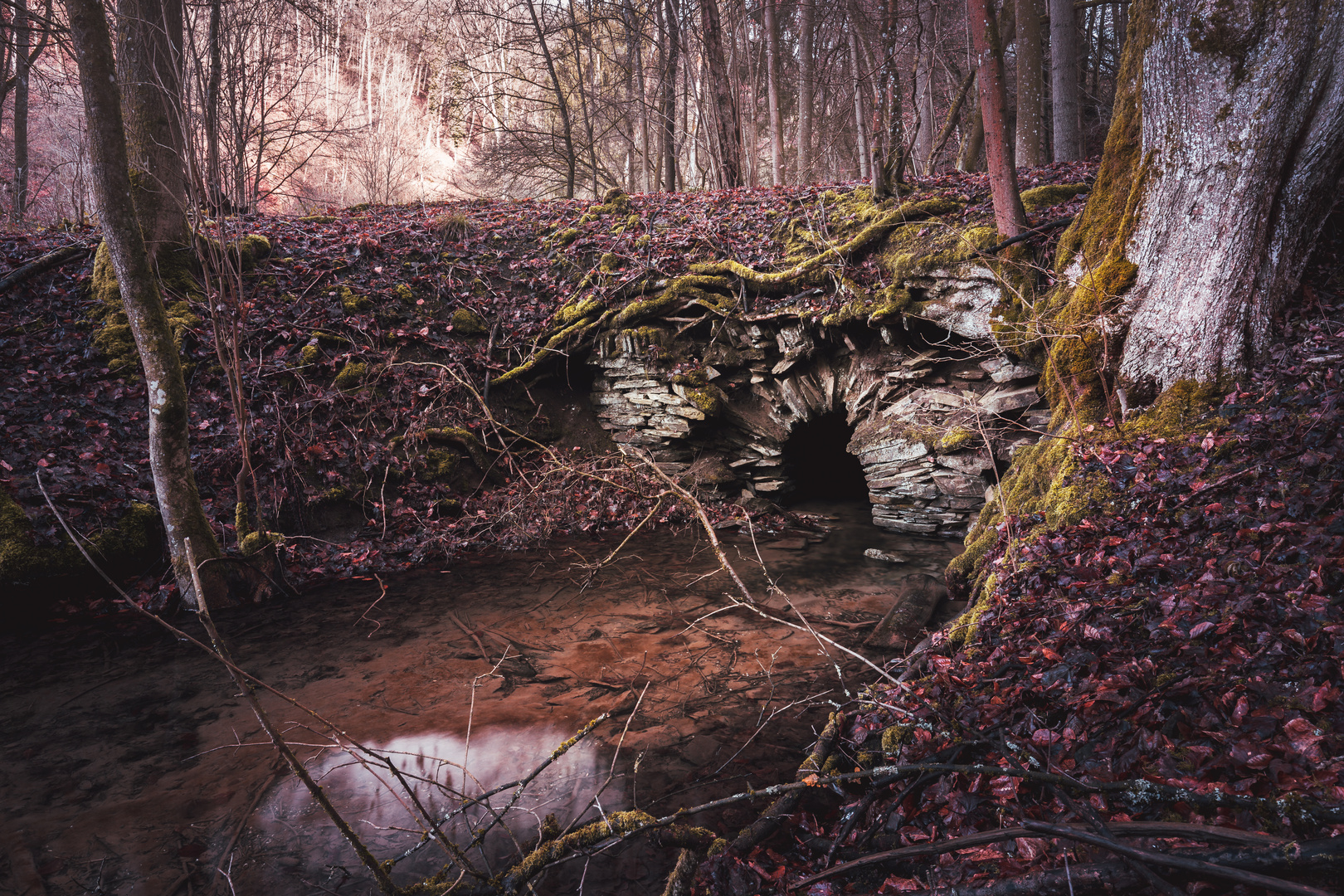 Puddle in the forest Foto & Bild | landschaft, natur Bilder auf ...