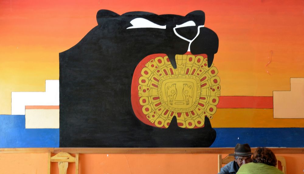 Puma Bolivia Foto & Bild | puma, südamerika, bolivien Bilder auf ...