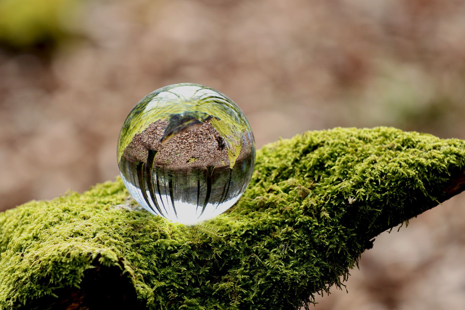 Pure Nature Foto & Bild | fotos, natur, landschaft Bilder auf fotocommunity