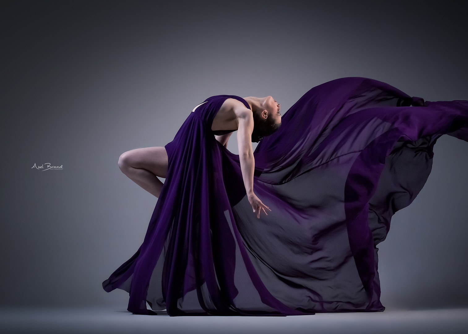Purple dancer Foto & Bild | sport, art, studio Bilder auf fotocommunity