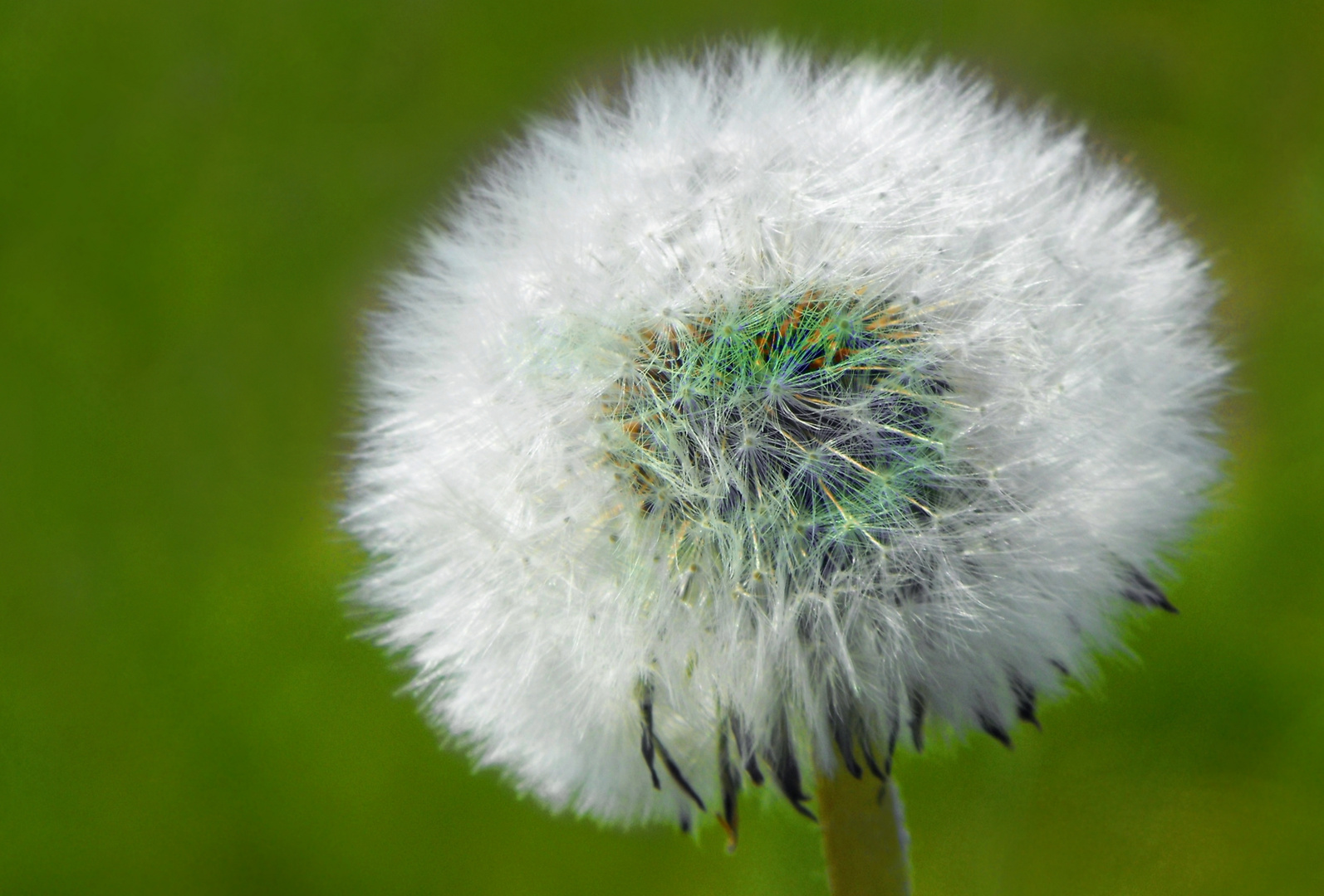 Puste mal Foto & Bild | anfängerecke - nachgefragt, nachgefragt ...