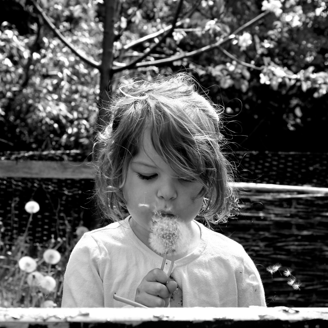 Pusteblume Foto & Bild | kinder, portraits, kinder ab 2 Bilder auf fotocommunity