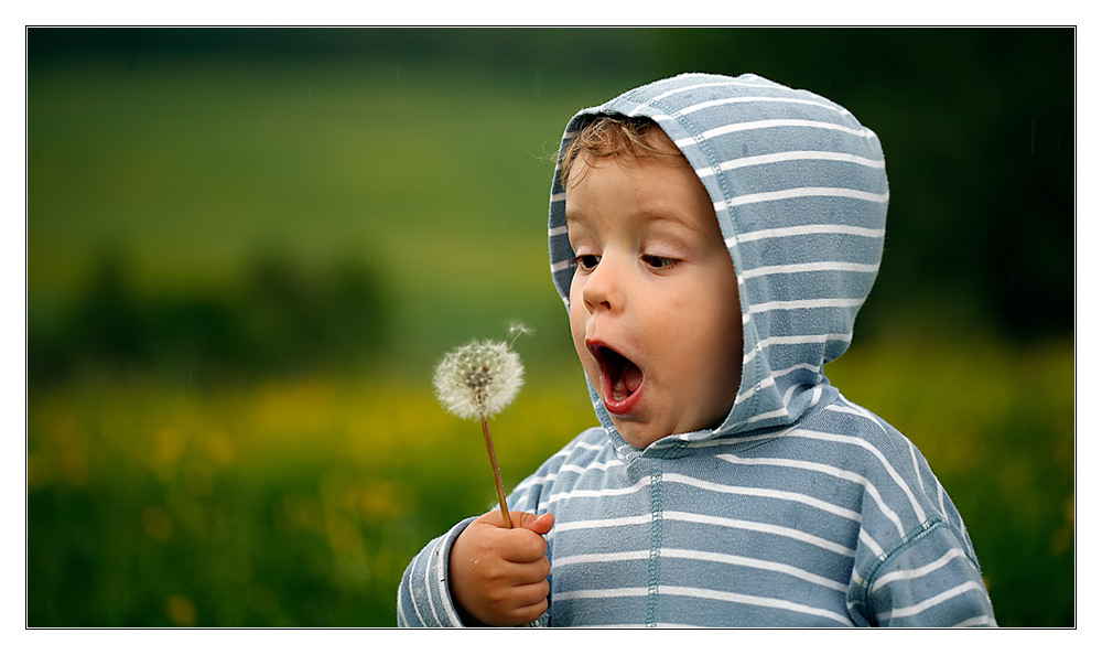 Pusteblume Foto & Bild | kinder, kinder ab 2, menschen Bilder auf ...