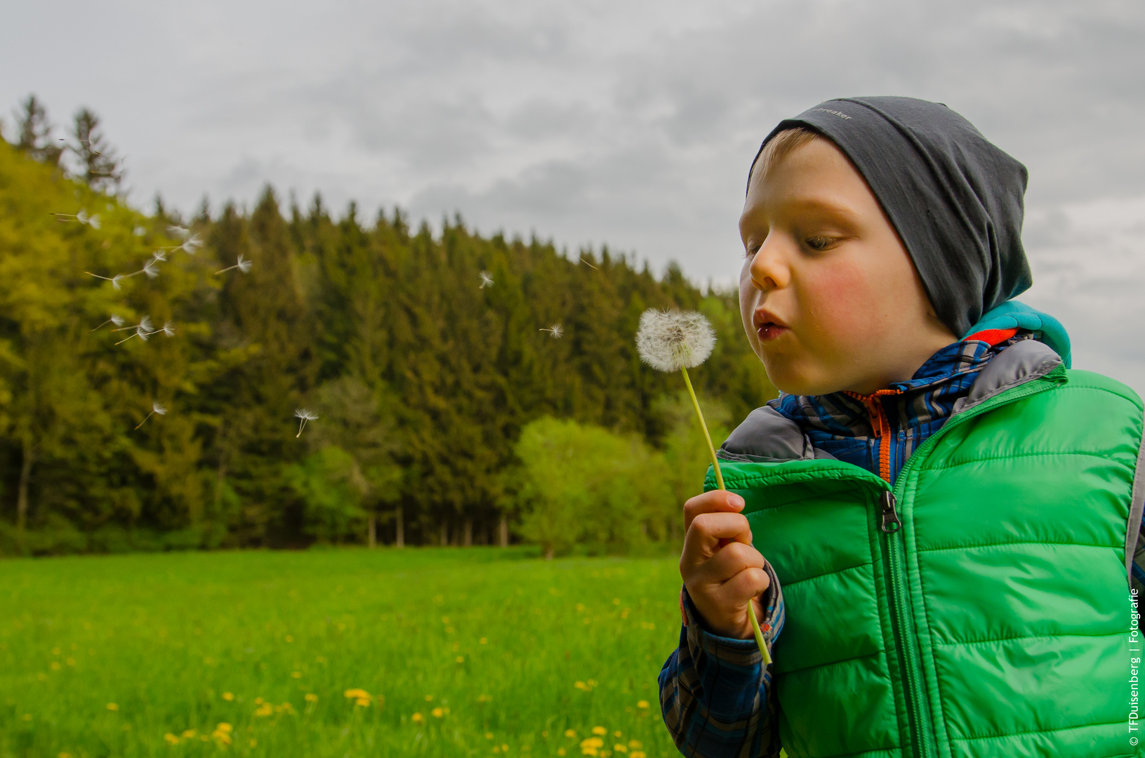 Pusteblume Foto & Bild | kinder, kinder im schulalter, people Bilder ...