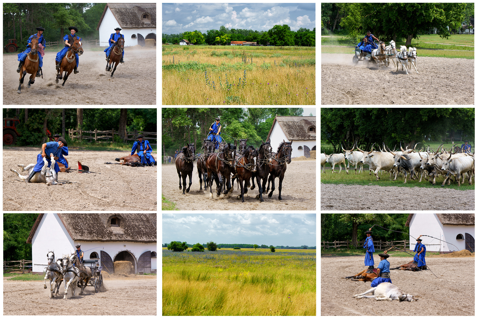 Puszta-Impressionen Foto & Bild | reportage dokumentation, europe ...
