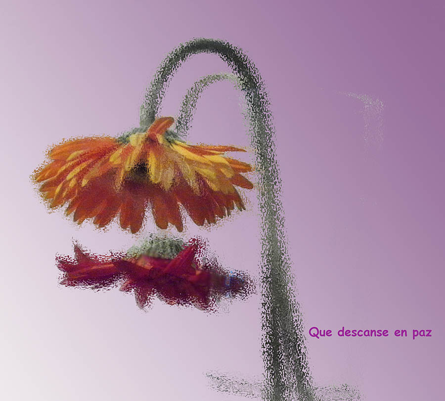 QDEP Imagen & Foto | emociones, especial Fotos de fotocommunity