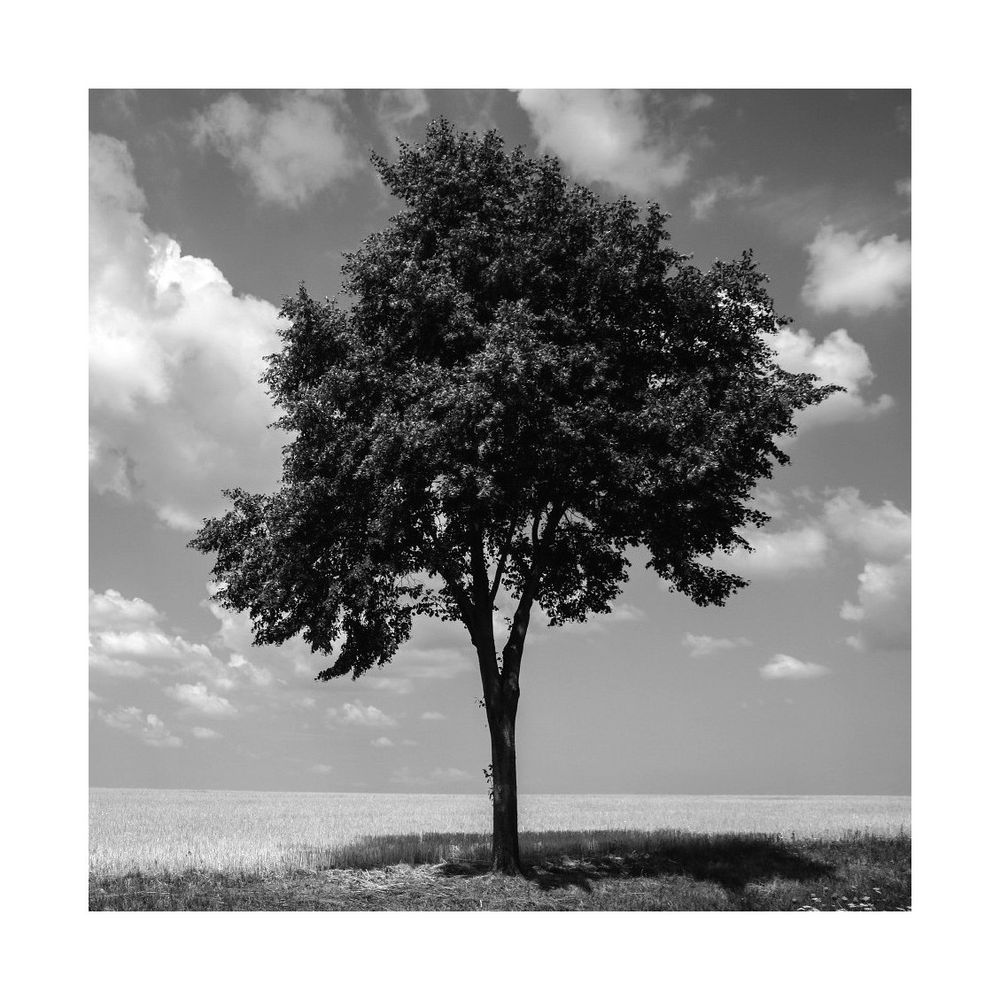 Quadratisches (2) Foto & Bild | art, world, spezial Bilder auf ...