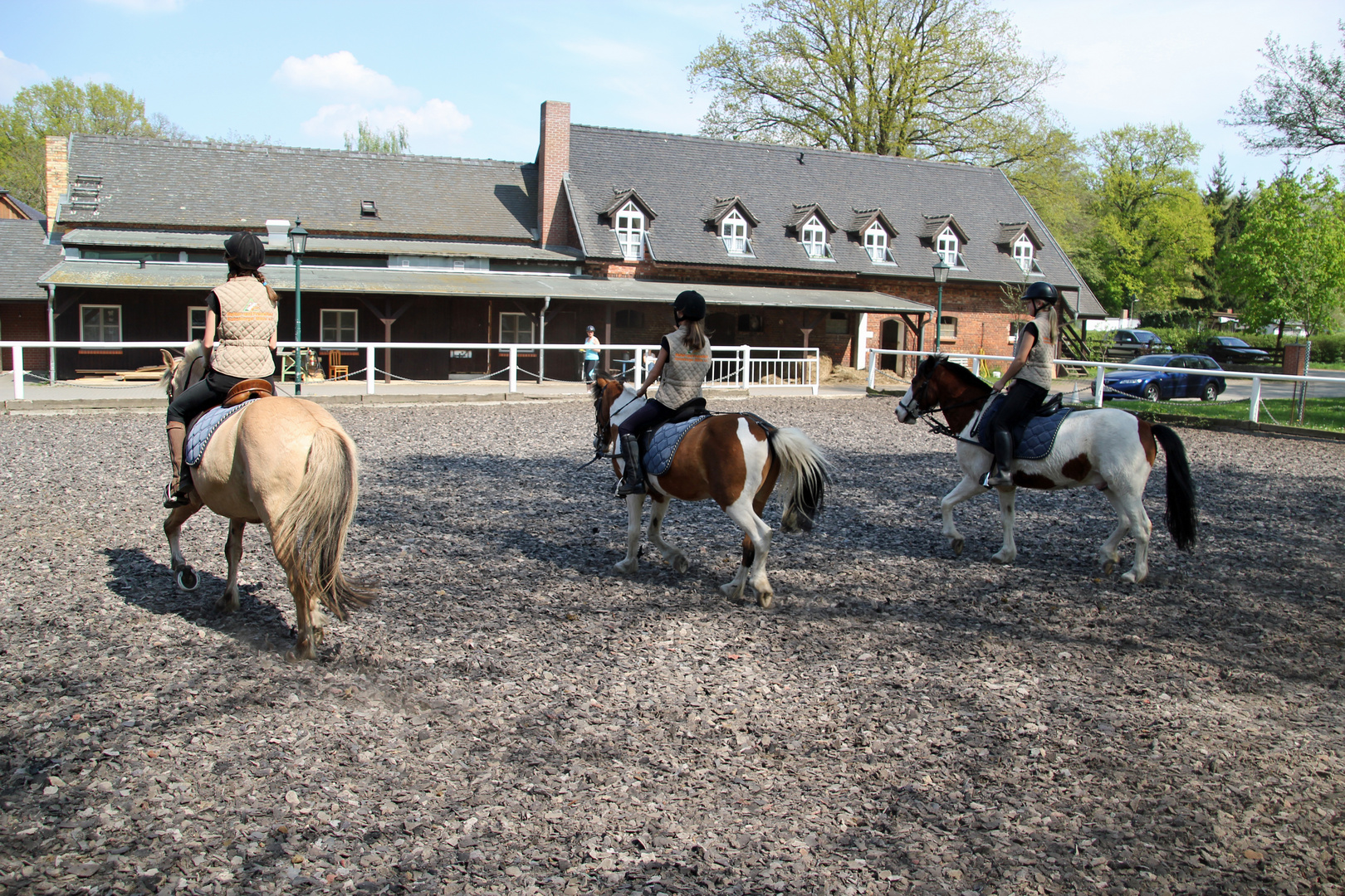 Quadrille Foto & Bild | tiere, tier und mensch, natur Bilder auf ...
