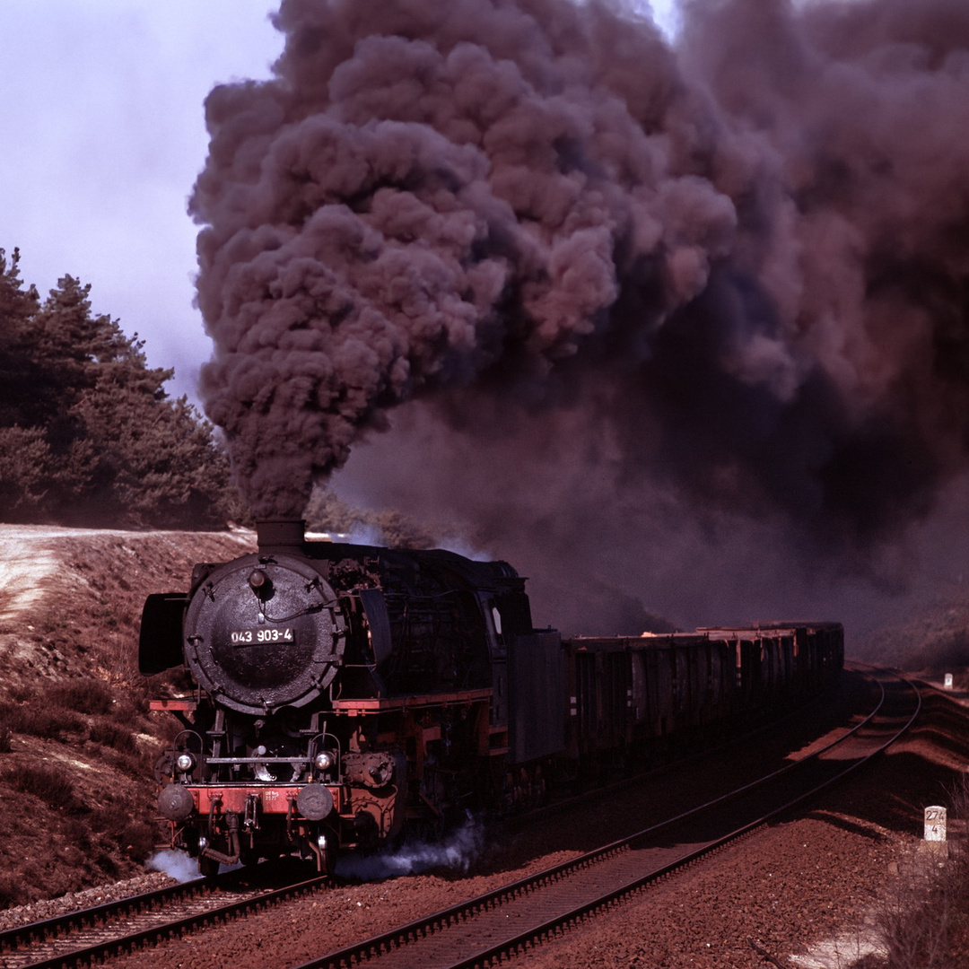 Qualm (1977) Foto & Bild | deutschland, europe, niedersachsen Bilder ...