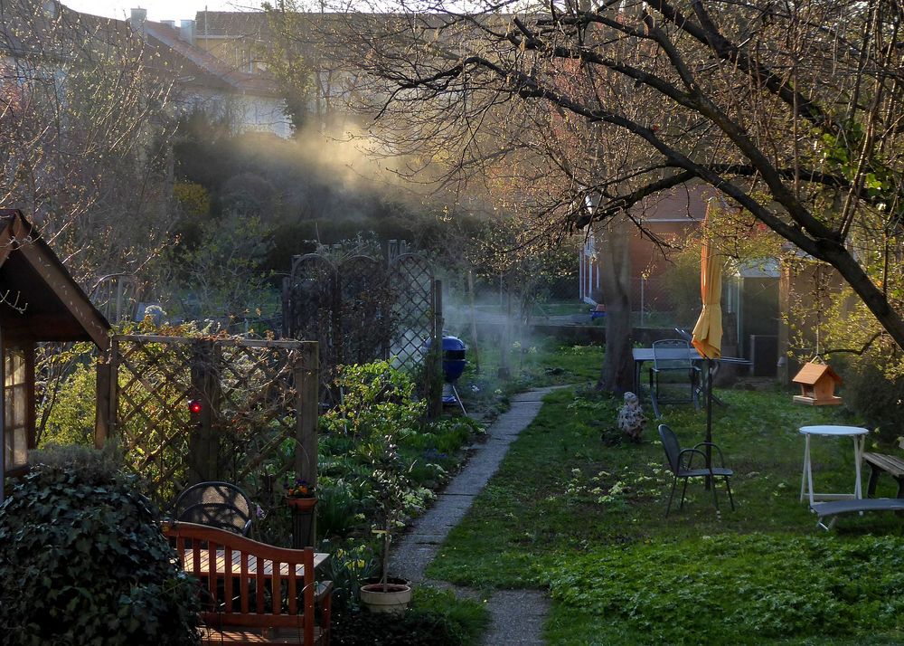 Qualm Foto & Bild | frühling, garten, rauch Bilder auf fotocommunity