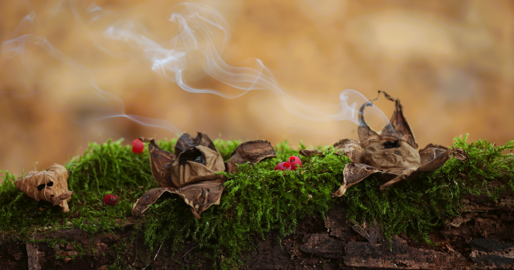 -qualmende schlote- Foto & Bild | fotos, natur, feuer Bilder auf ...