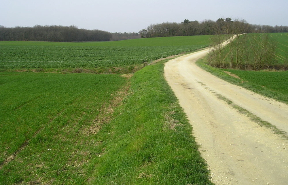 que le chemin est long photo et image | paysages, nature Images ...