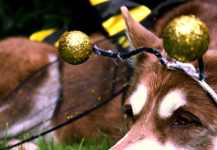 queen vom stamm der chiller Foto & Bild | lifestyle, jugendkultur ...