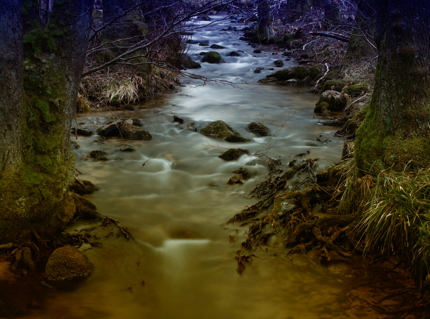 Quelle Foto & Bild | landschaft, bach, fluss & see, wald Bilder auf fotocommunity