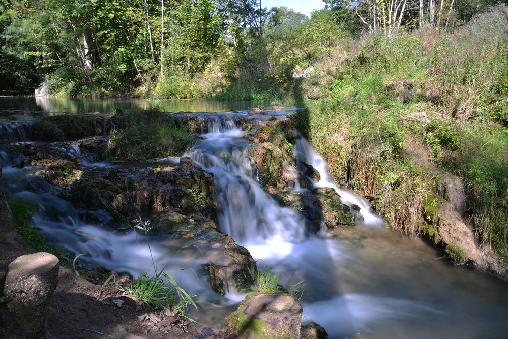 Quelle im Wald Foto & Bild | natur, landschaft Bilder auf fotocommunity