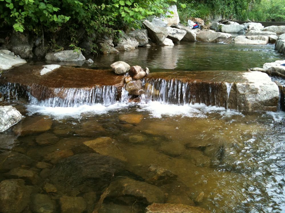Quelle in Freiburg Foto & Bild | landschaft, bach, fluss & see, natur ...