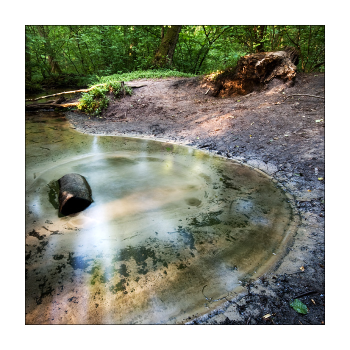 Quellwasser im Buchenwald Foto & Bild | landschaft, bach, fluss & see ...