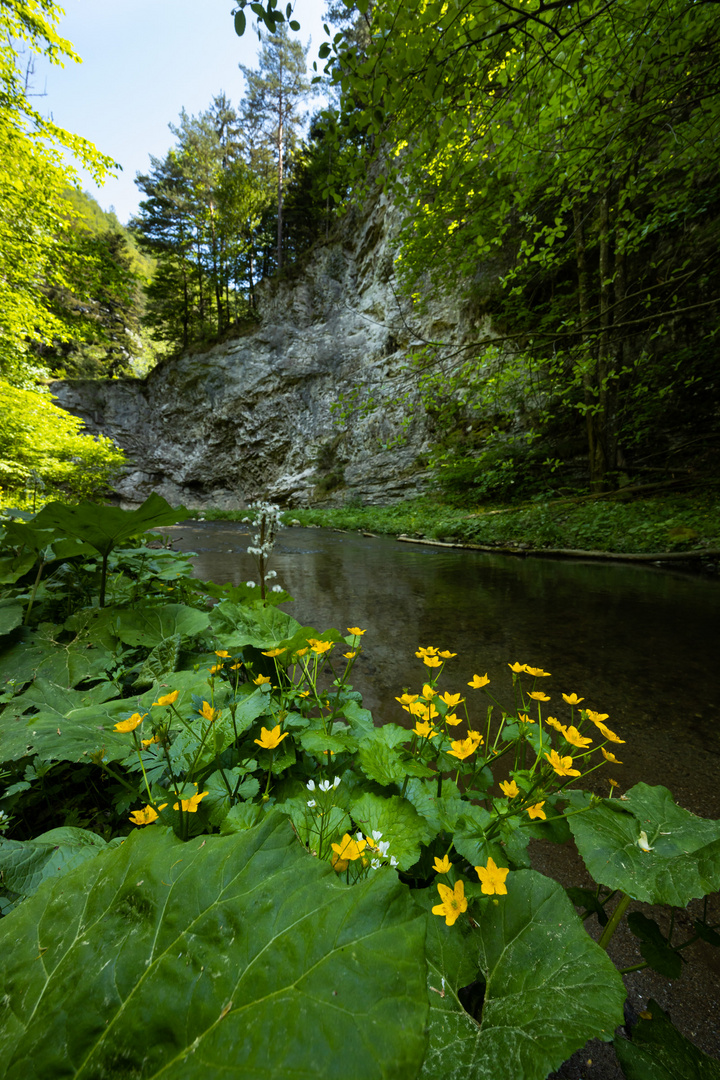 Raab Klamm Foto & Bild | europe, Österreich, steiermark Bilder auf ...