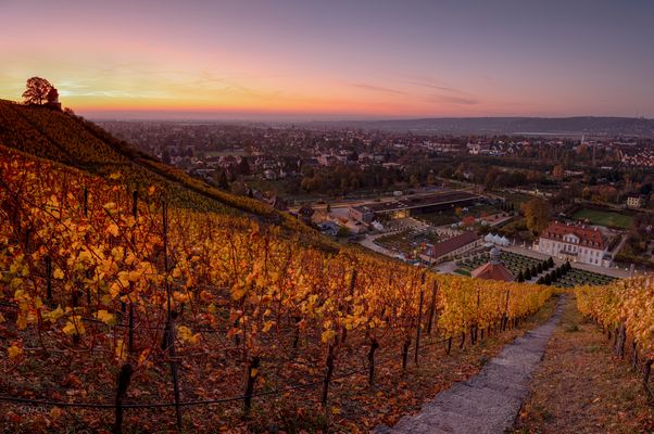 Radebeul Bilder & Fotos