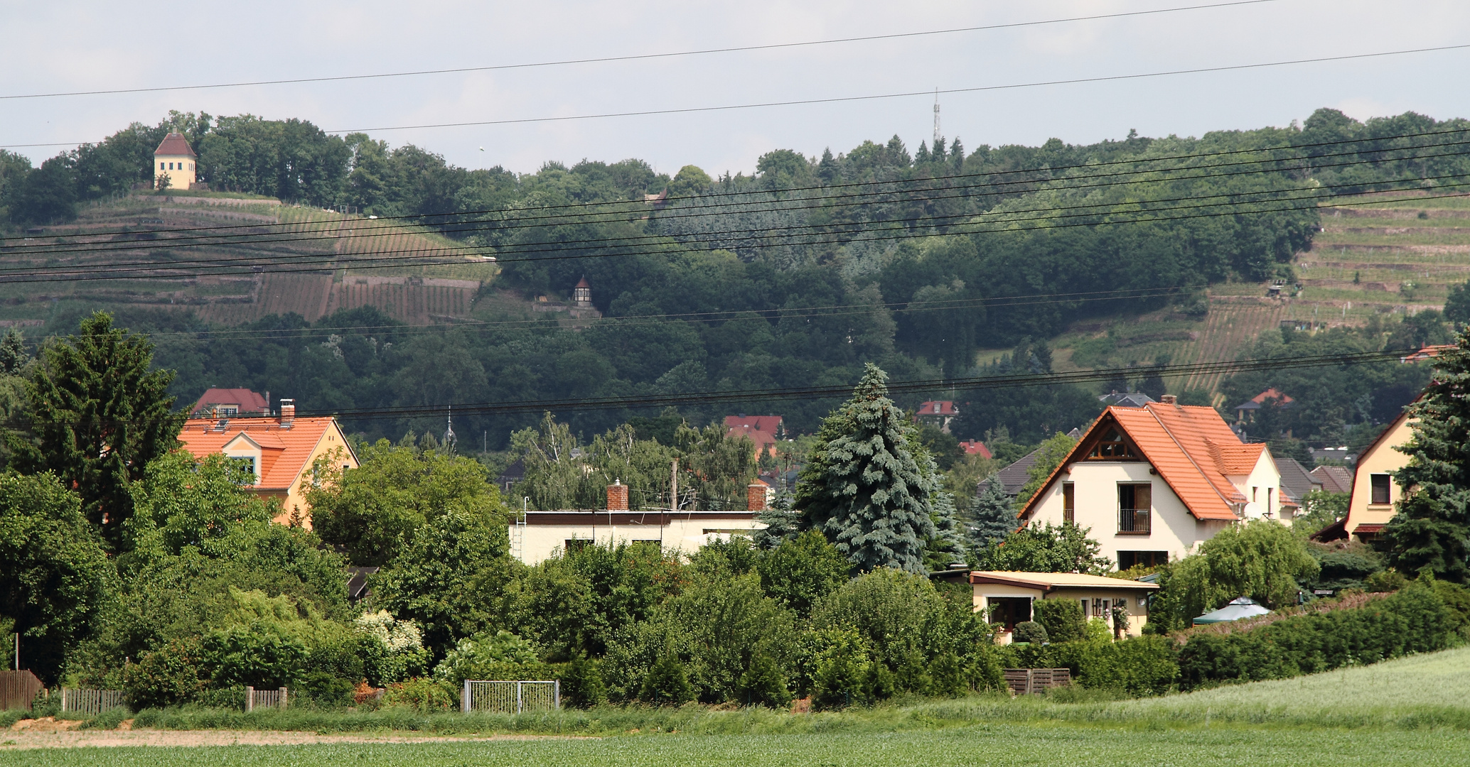 Radebeul Weinberge Foto & Bild | deutschland, europe, sachsen Bilder ...