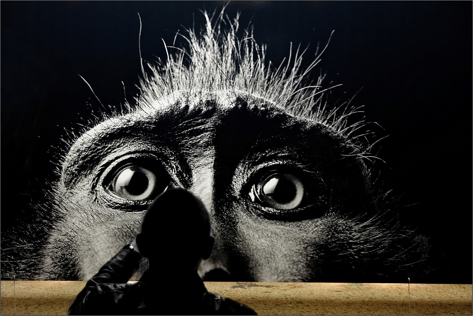 "Radius Null" Foto & Bild | kunst, street, dokumentation Bilder auf ...