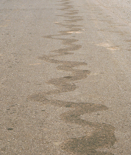 Rätsel Foto & Bild | quatsch, fun und rätselecke, rätselecke, spezial ...