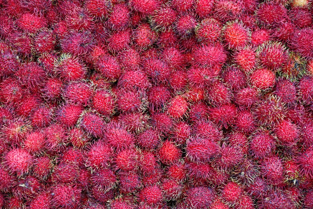 Rambutan Foto & Bild | north america, central america, stillleben ...