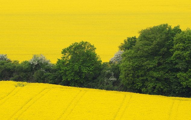 Rainer Beyer - Fotos & Bilder - Fotograf aus Hetzerath | fotocommunity