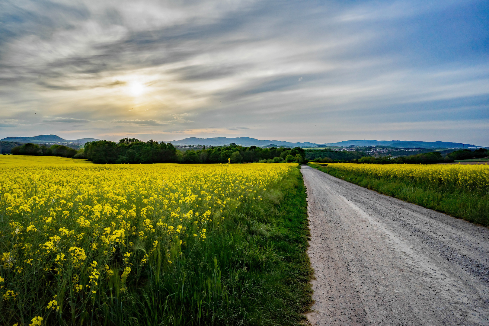 Raps Foto & Bild | spezial, outdoor, himmel Bilder auf fotocommunity