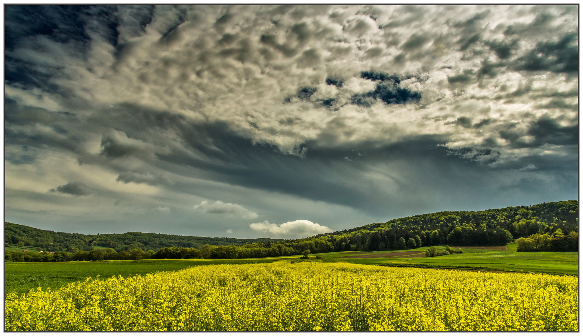 Raps Foto & Bild | jahreszeiten, frühling, himmel Bilder auf fotocommunity