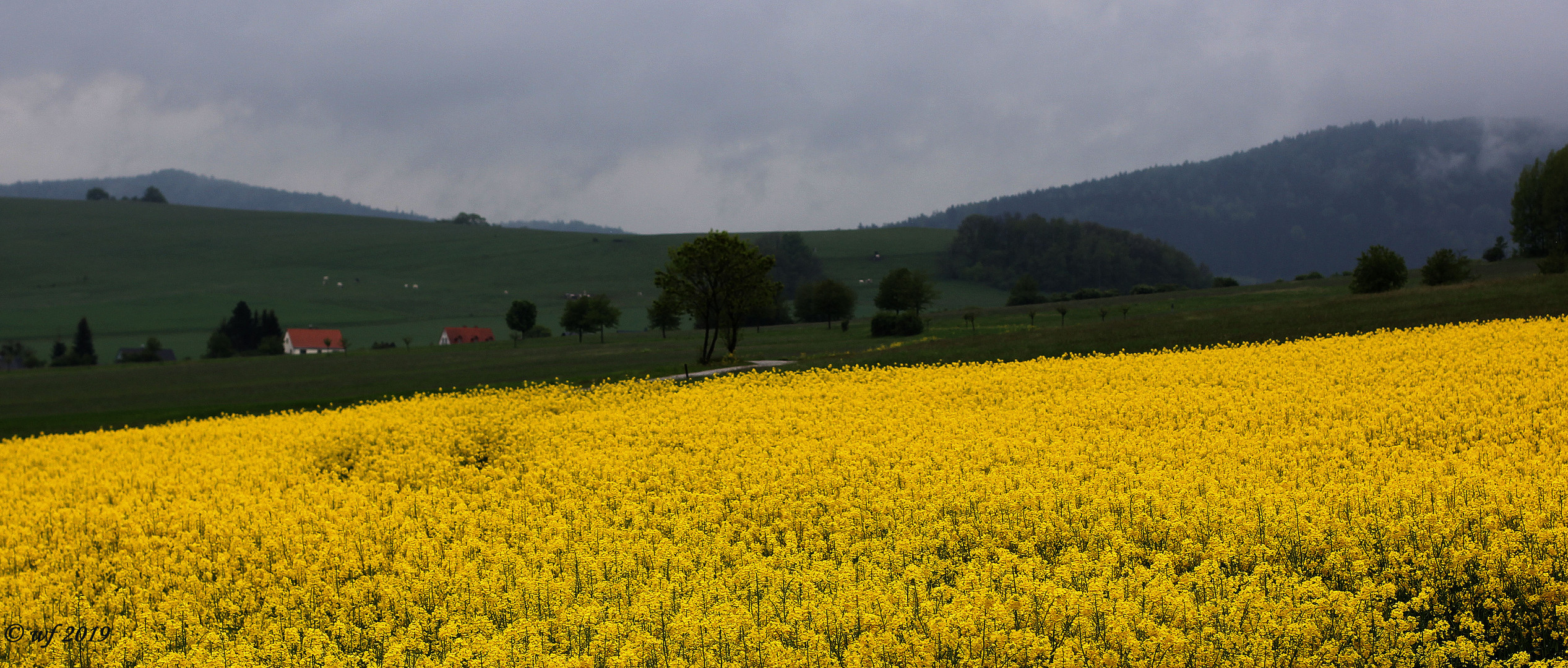 RAPS Foto & Bild | deutschland, europe, sachsen Bilder auf fotocommunity