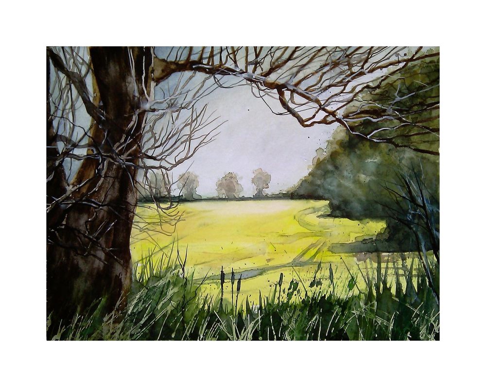 Raps III Foto & Bild | kunstfotografie & kultur, gemälde & skulpturen ...