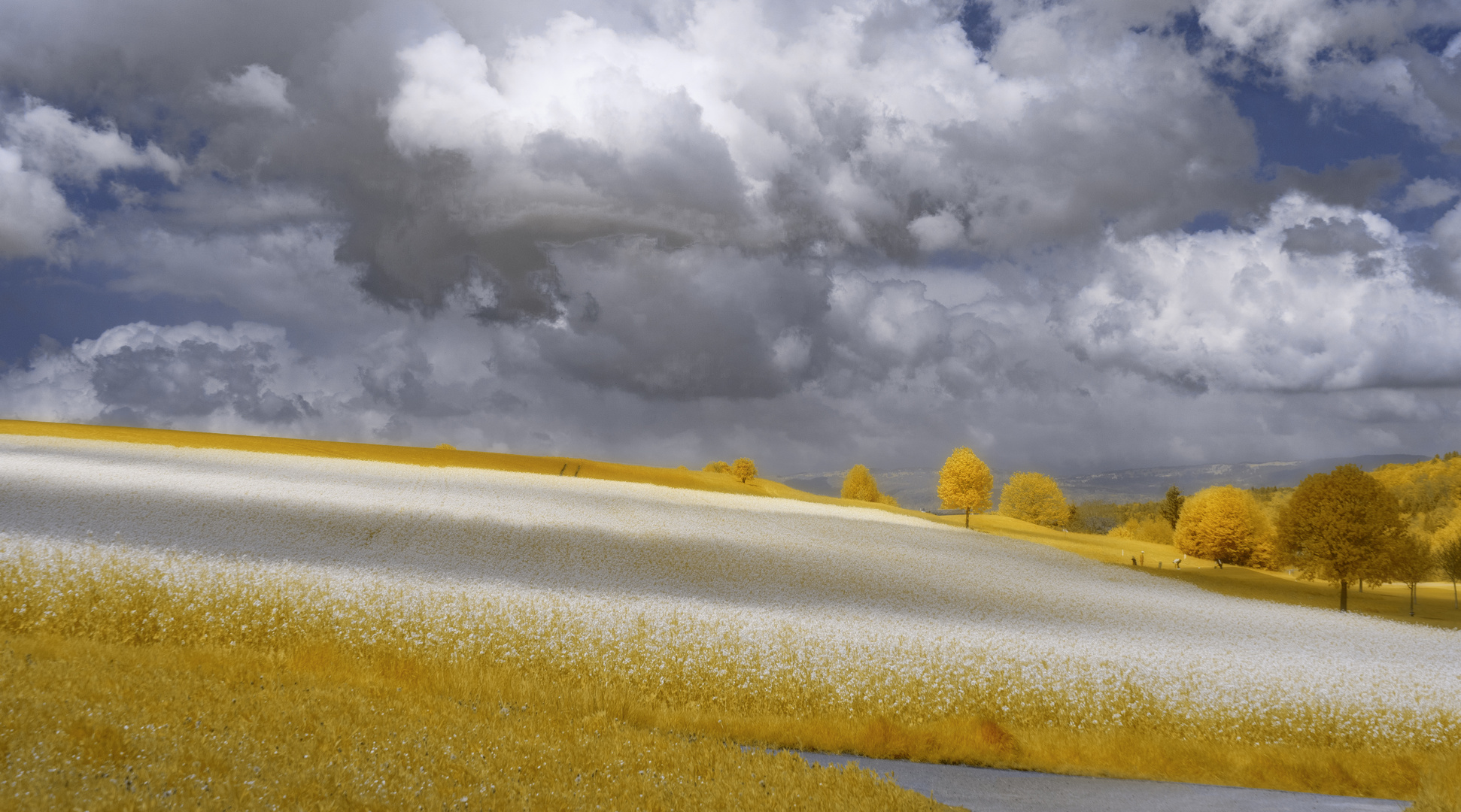 Rapsfeld Foto & Bild | landschaft, himmel, wolken Bilder auf fotocommunity