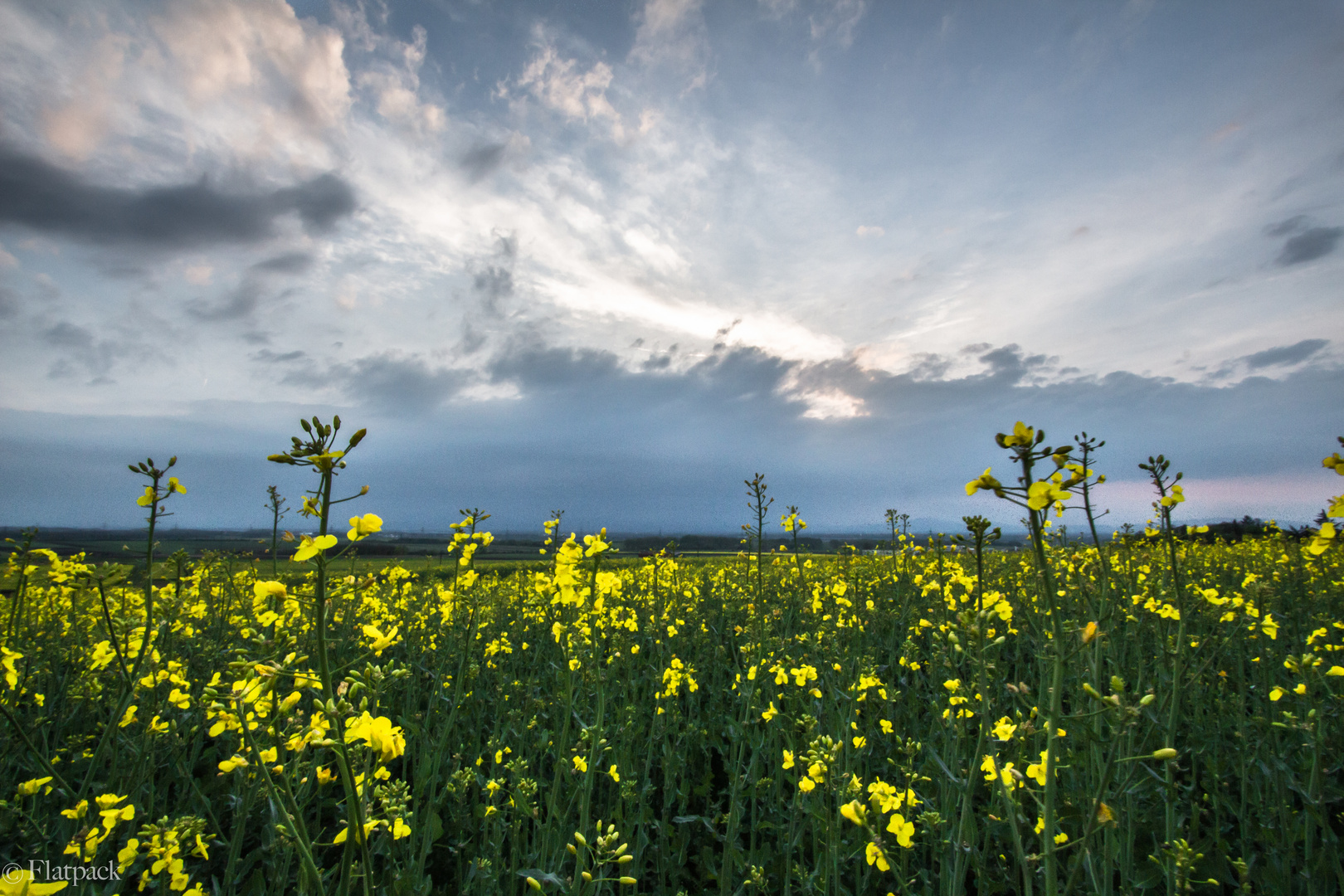 Rapsfeld Foto & Bild | himmel, wolken, himmel & universum Bilder auf ...