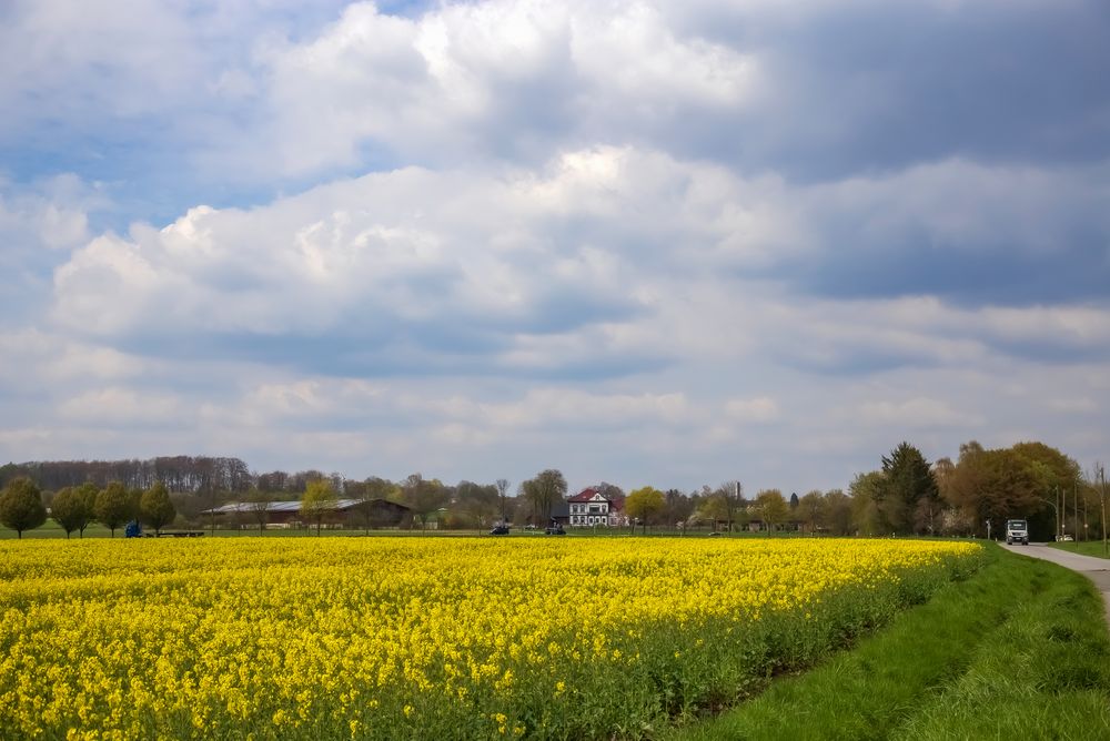 Rapsfeld Foto & Bild | art, world, spezial Bilder auf fotocommunity