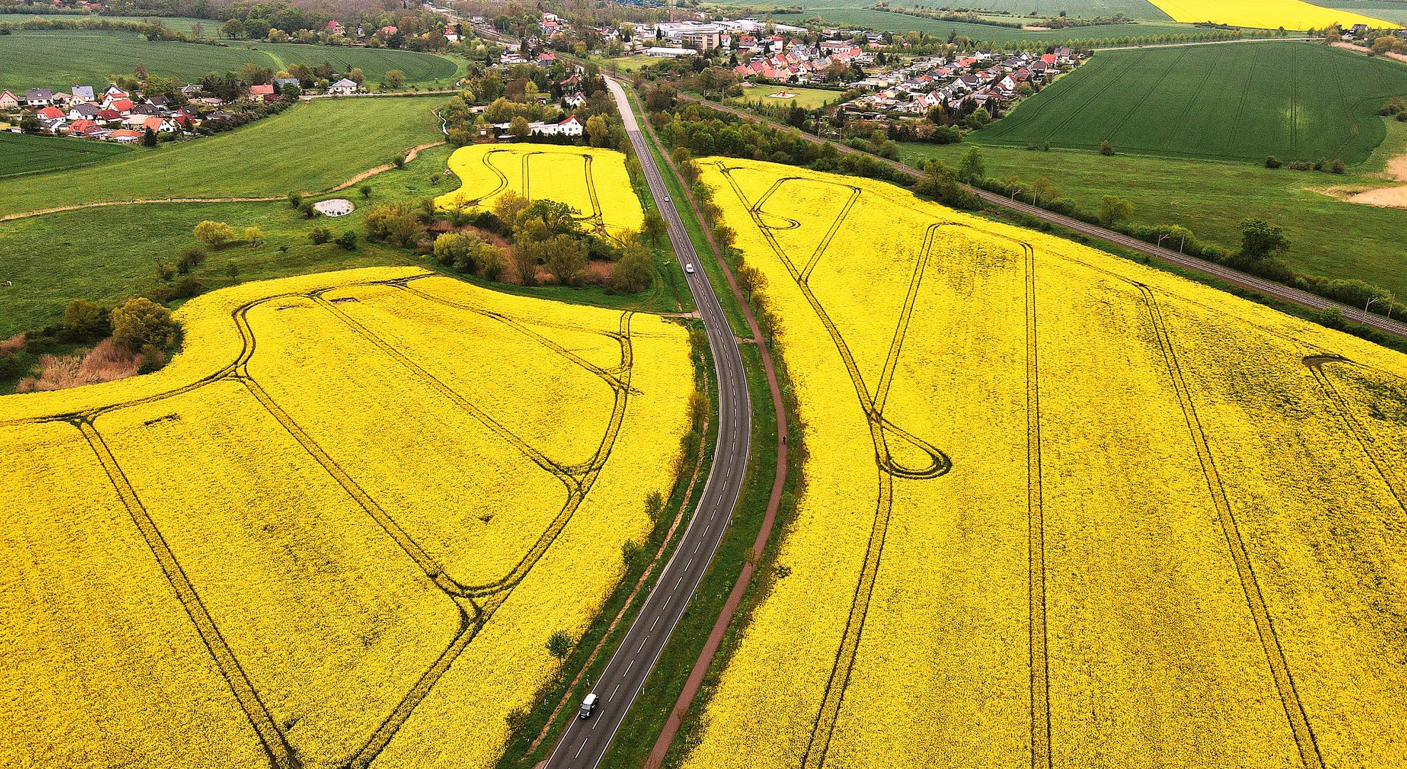 Rapsfelder Foto & Bild | deutschland, europe, sachsen- anhalt Bilder ...