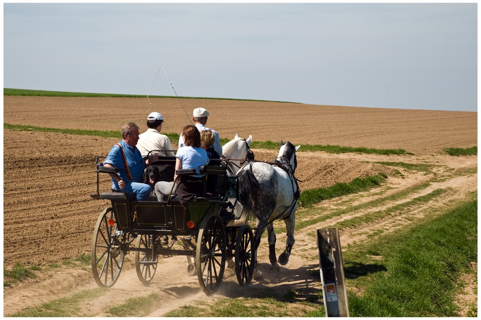 Raser ... Foto & Bild | erwachsene menschen, menschen in der freizeit ...