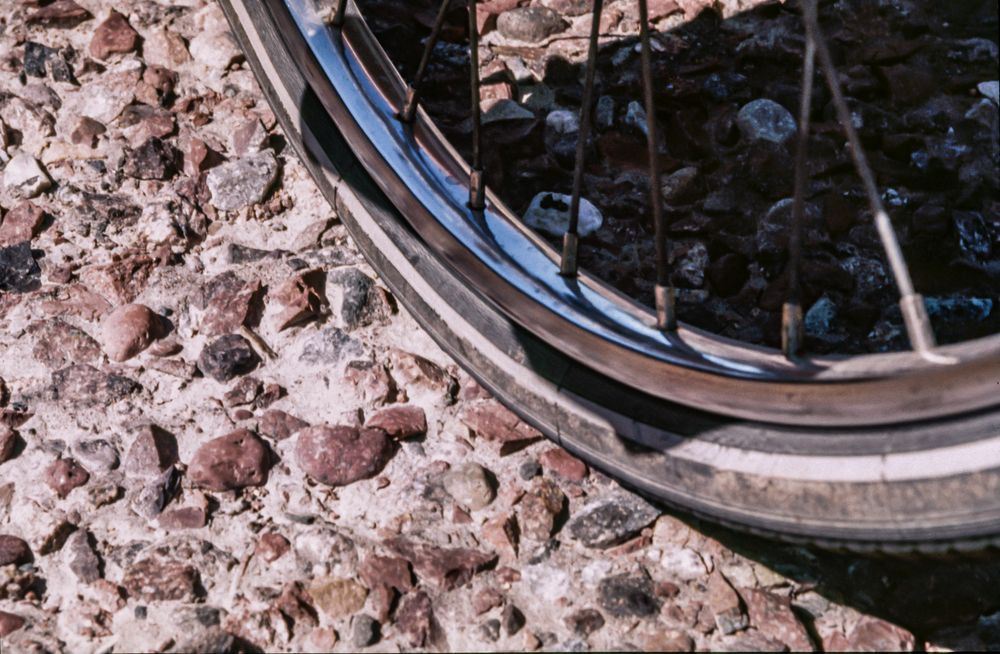 Raspel Foto & Bild | world, schweden, sweden Bilder auf fotocommunity