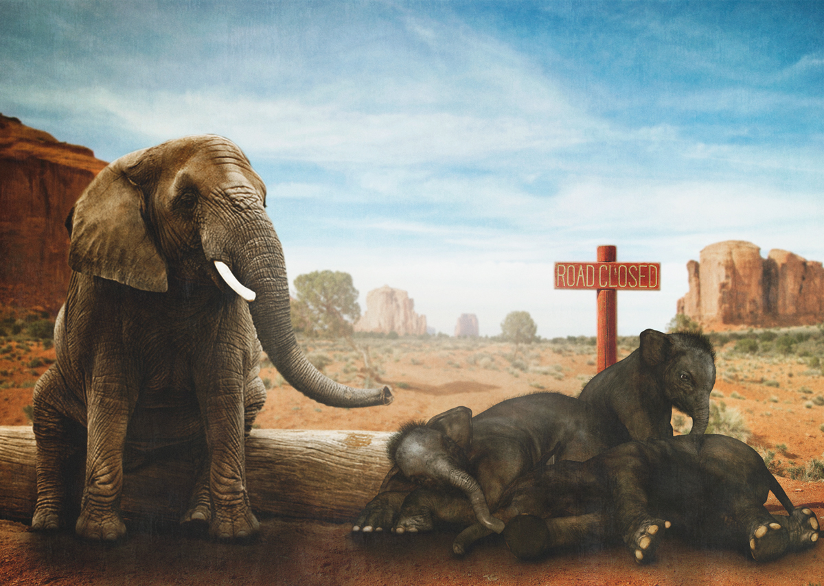 Rast Foto & Bild | fotomontage, composing , composing Bilder auf fotocommunity