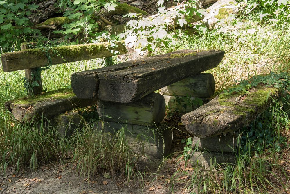 rasten ??? Foto & Bild | natur Bilder auf fotocommunity