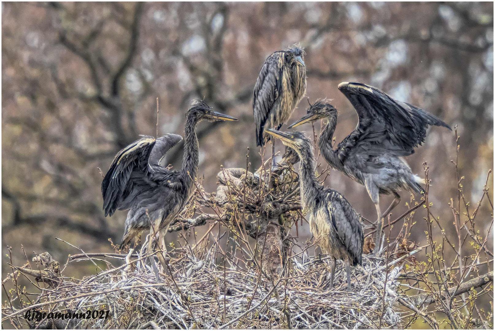 ratlos..... Foto & Bild | frühling, april, natur Bilder auf fotocommunity