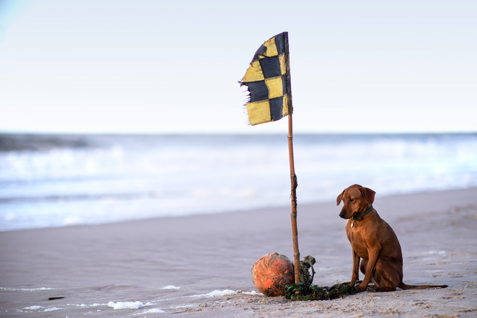 ratlos..... Foto & Bild | sylt, meer, strand Bilder auf fotocommunity
