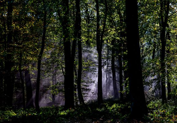 Ästhetik der Sichtbarkeit Bilder & Fotos