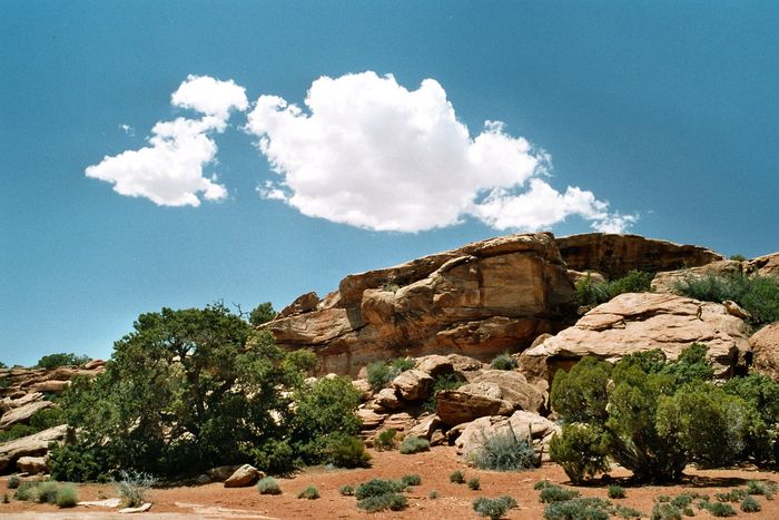 Rauchzeichen Foto & Bild | north america, united states, national parks ...