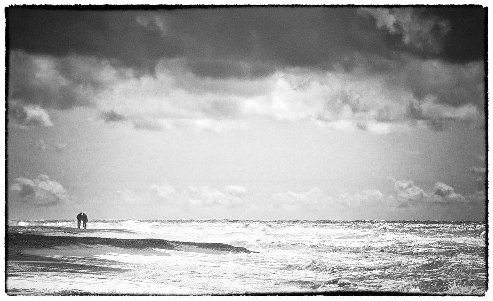 raue See in Dänemark Foto & Bild | jahreszeiten, sommer, natur Bilder ...